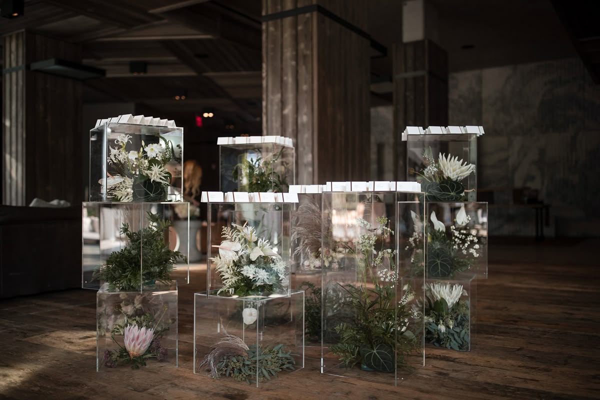 5 roślinnych trendów, które zdominują 2026 rok